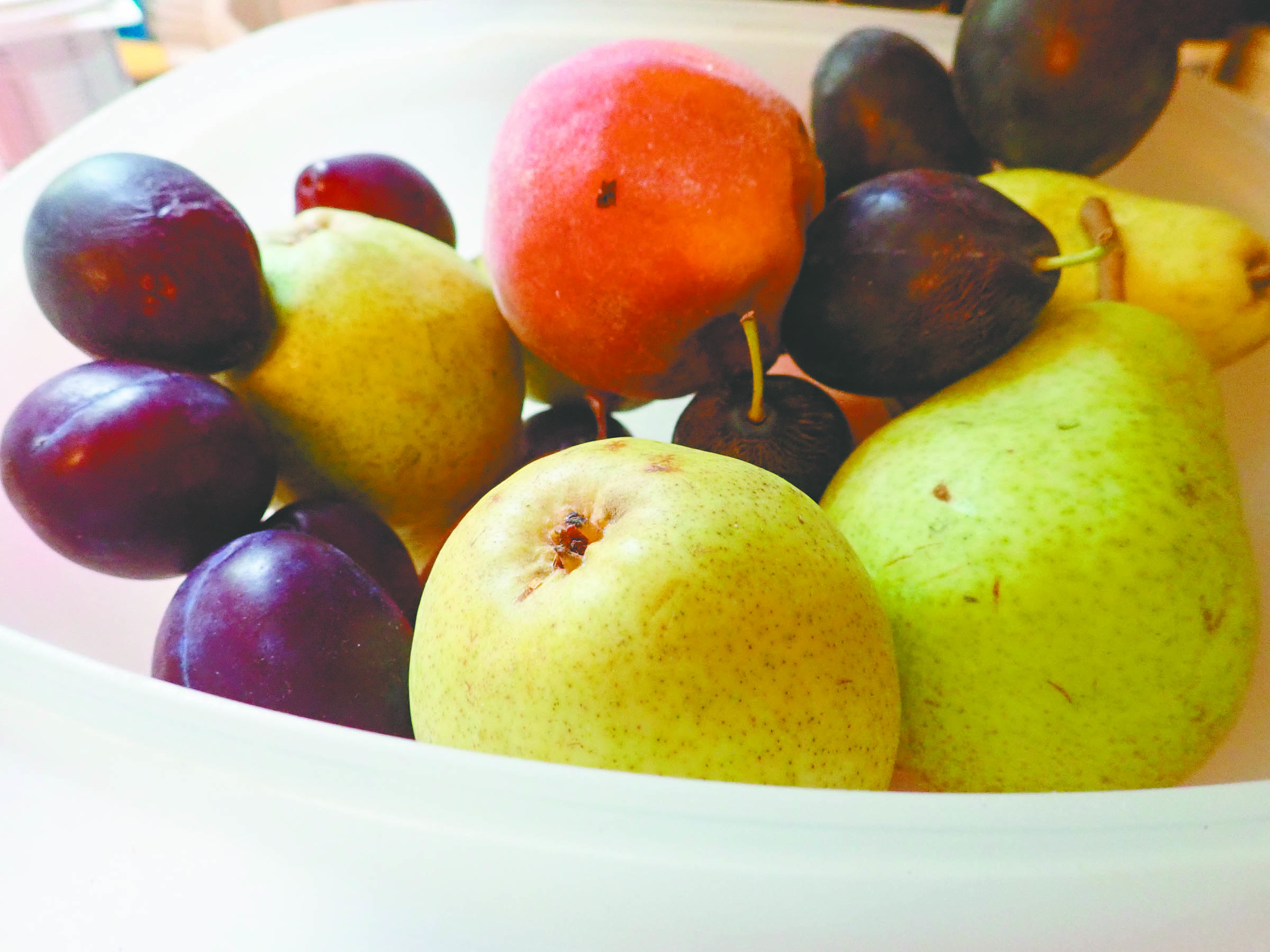 Fabulous Fall Fruit News Sports Jobs Adirondack Daily Enterprise